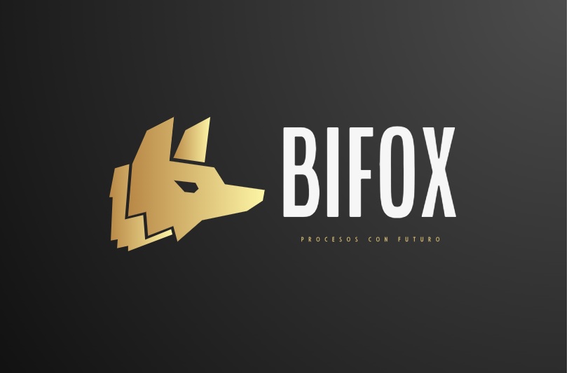 Bifox - Consultora - Procesos con Futuro